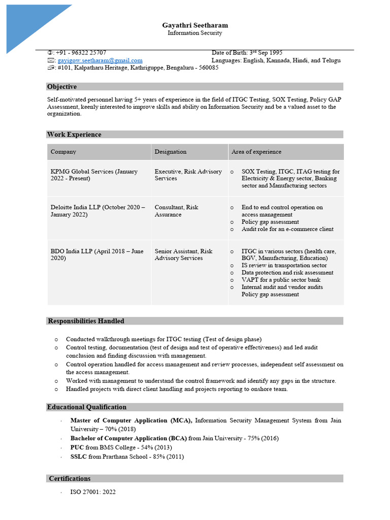 CV 1 | PDF | Information Security | Audit