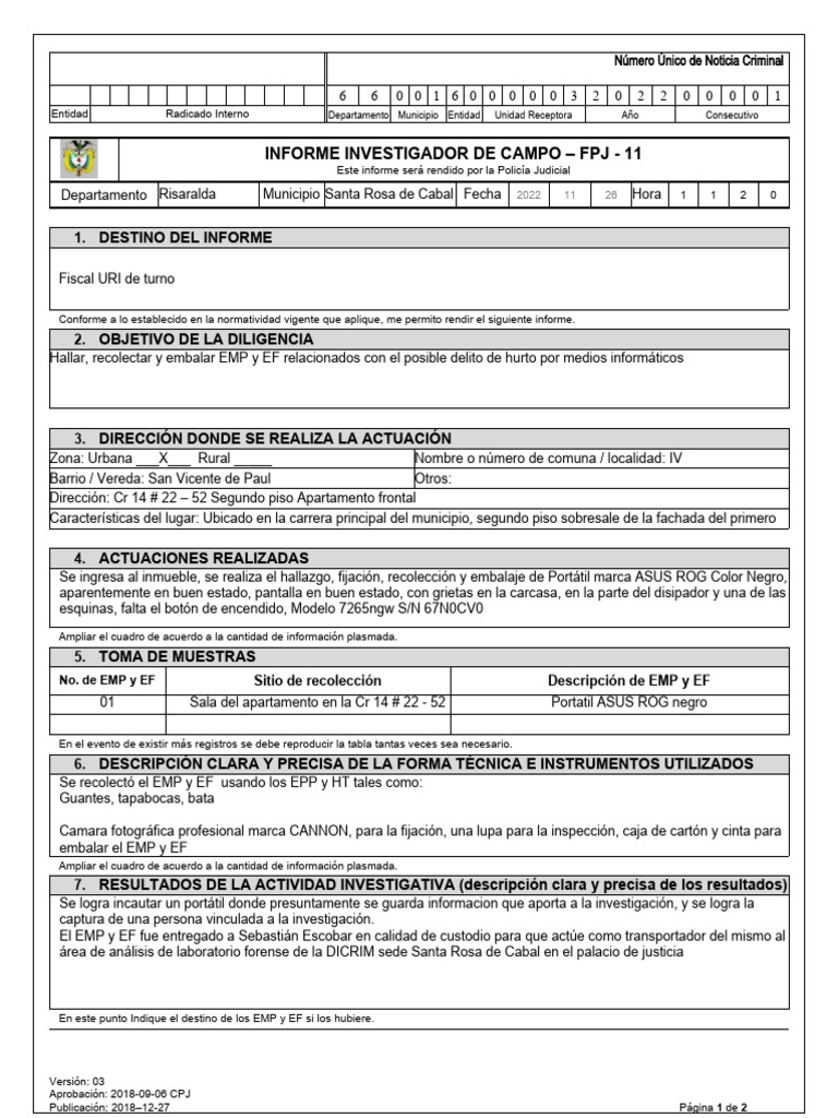 FPJ 11 Informe Investigador de Campo V 0 | PDF