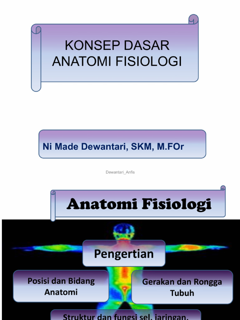 Konsep Dasar Anatomi Fisiologip Pdf