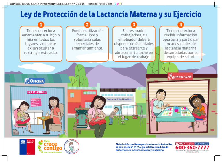 Afiche para Imprimir Ley 21.155 | PDF