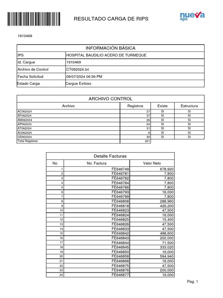 Resultado Carga de Rips: Información Básica | PDF