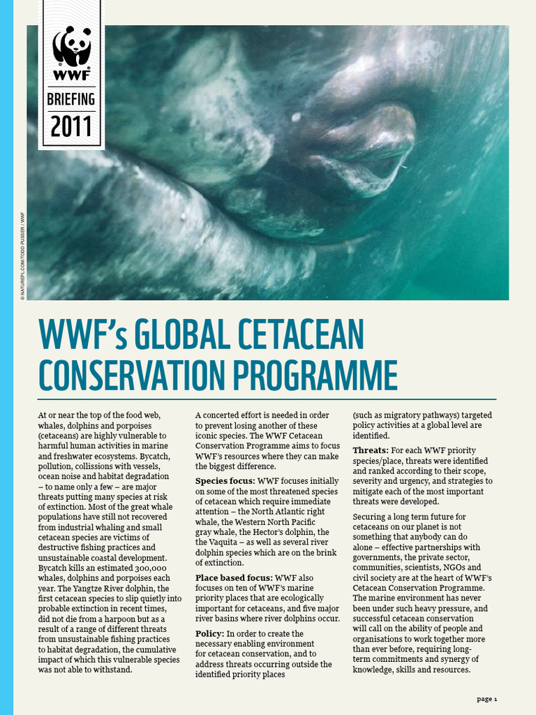 2011 06 Factsheet WWFs Cetacean Conservation Program | PDF | Cetacea ...