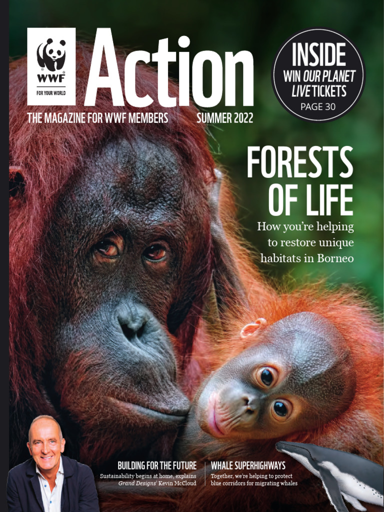 Action Magazine Summer 2022 | PDF | Natural Environment