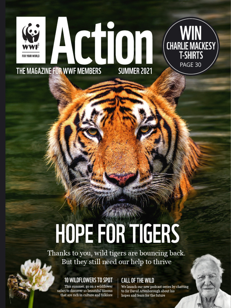 Action Mag Summer 2021 | PDF | Antarctica | Amazon Rainforest