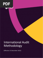 Internal Audit Sampling by IIA | PDF | Sampling (Statistics) | Statistics