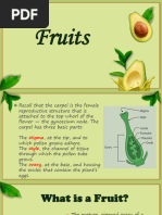 Types of Dry Indehiscent Fruits | PDF | Fruit | Seed