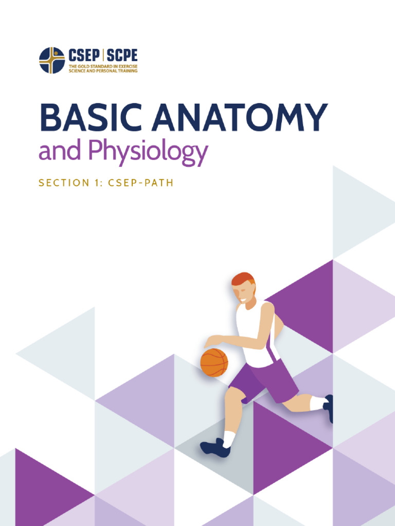 Section 1 - CSEP | PDF | Anatomical Terms Of Motion | Blood Pressure