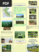 Selva Peruana | PDF | Selva amazónica | Perú