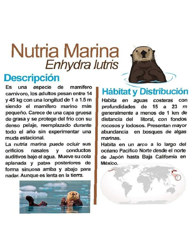 Nutria | PDF