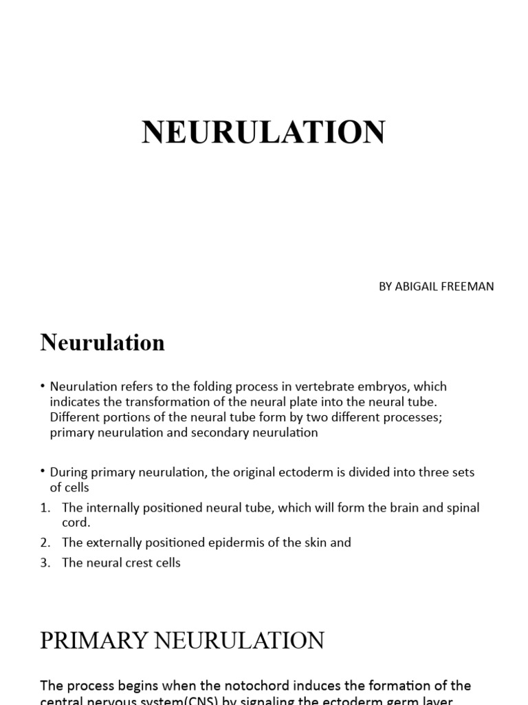 Ne Uru Lation | PDF