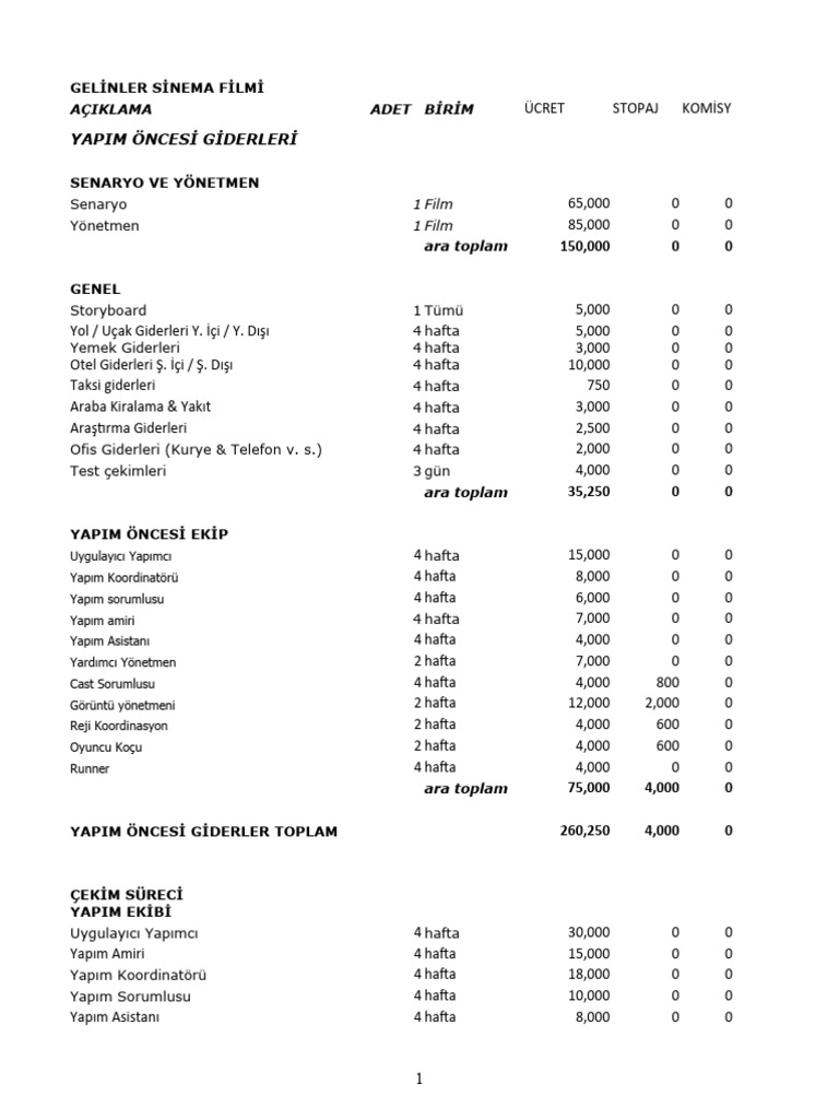 Geli̇nler Butce | PDF