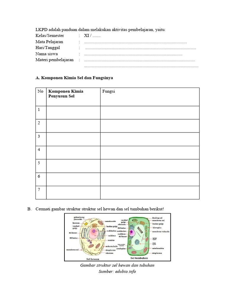 LKPD Sel Tumbuhan Dan Hewan | PDF