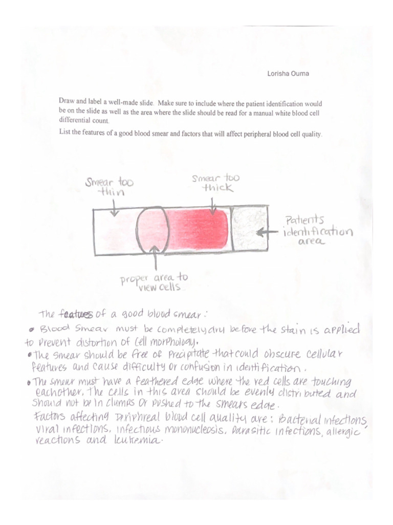 Blood Smear | PDF
