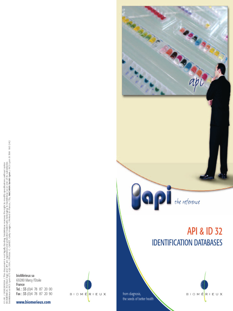 API New Database | PDF | Bacillus | Bacteria