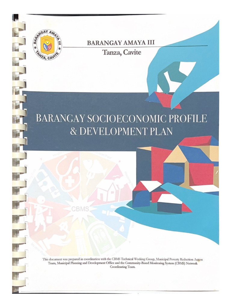 Barangay Socio Economic Profile Development Plan | PDF