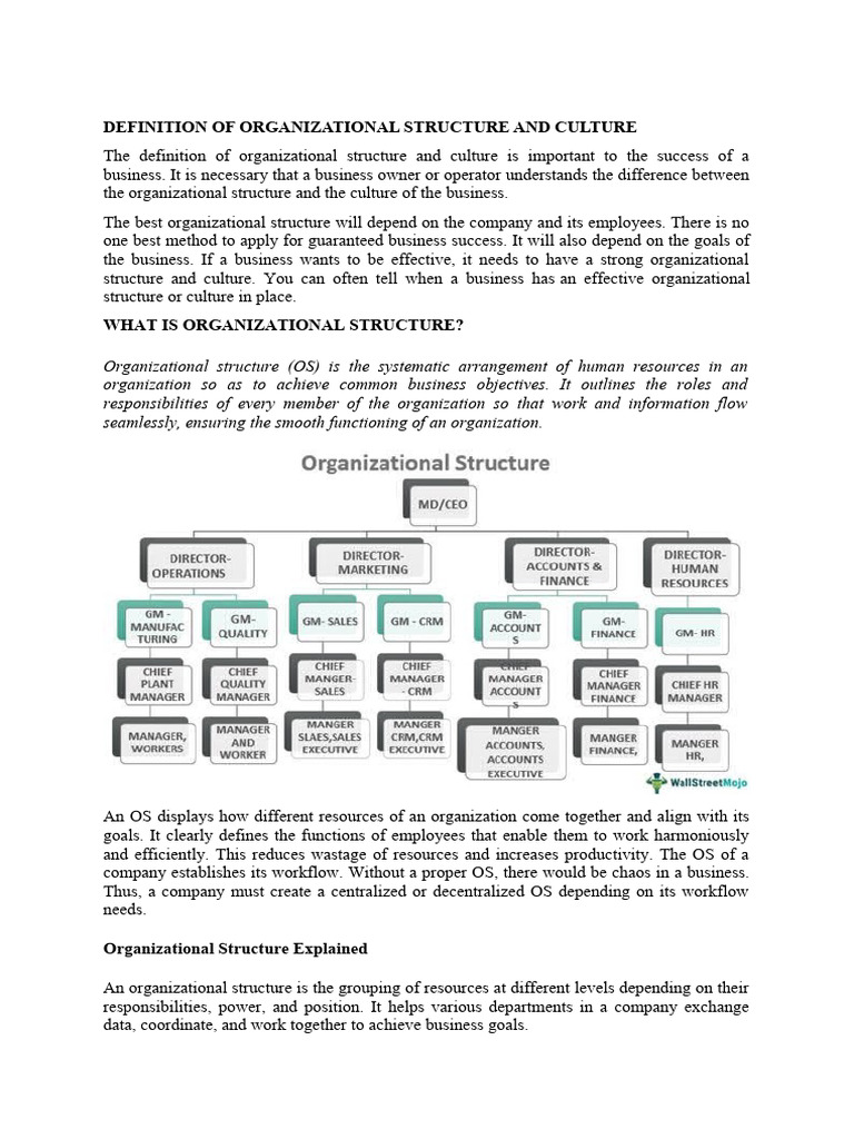 GST 204 - Definition of Organizational Structure and C, Ulture | PDF ...