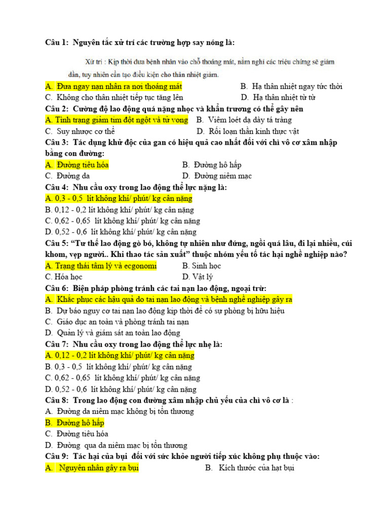 Câu hỏi lượng giá SKMT SKNN RHM20 | PDF