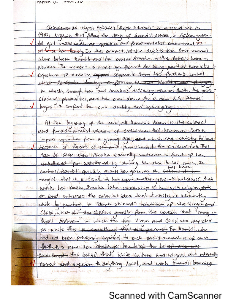 Example Essay IGCSE English Literature (Purple Hibiscus) | PDF