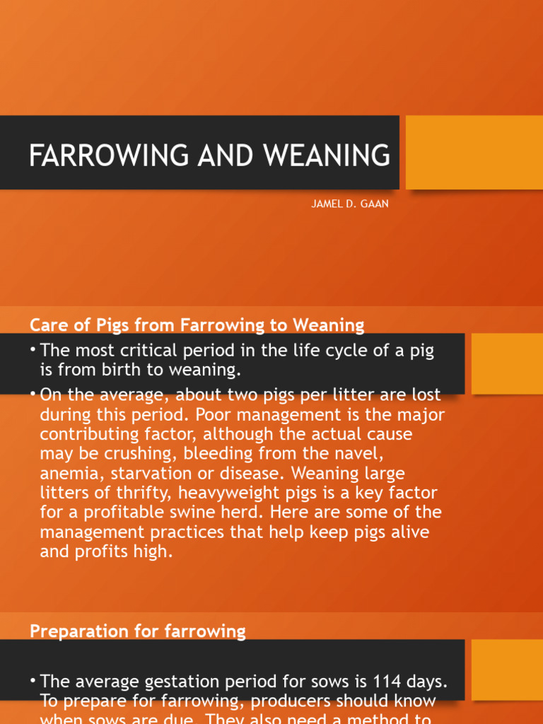 Farrowing and Weaning | PDF | Diarrhea | Pig