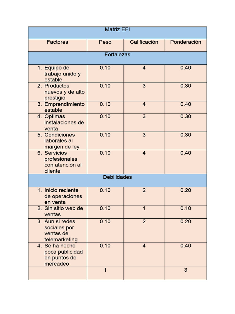 Matriz EFE Y EFI | PDF