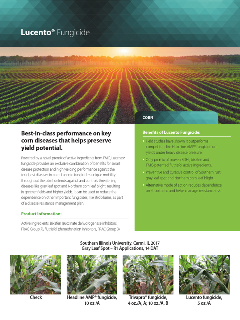 23-FMC-1504 Lucento Corn Fact Sheet - 081123 - VF - LoRes - Ref | PDF | Plants | Branches Of Botany