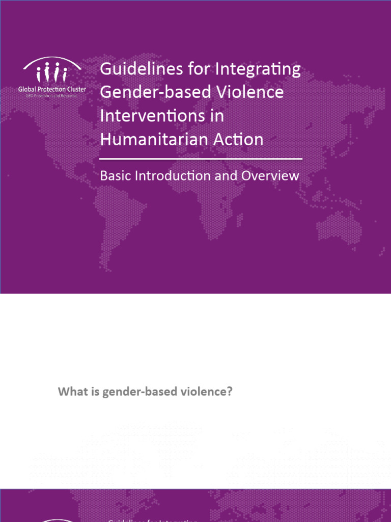 General GBV Guidelines Overview | PDF | Violence Against Women | Violence