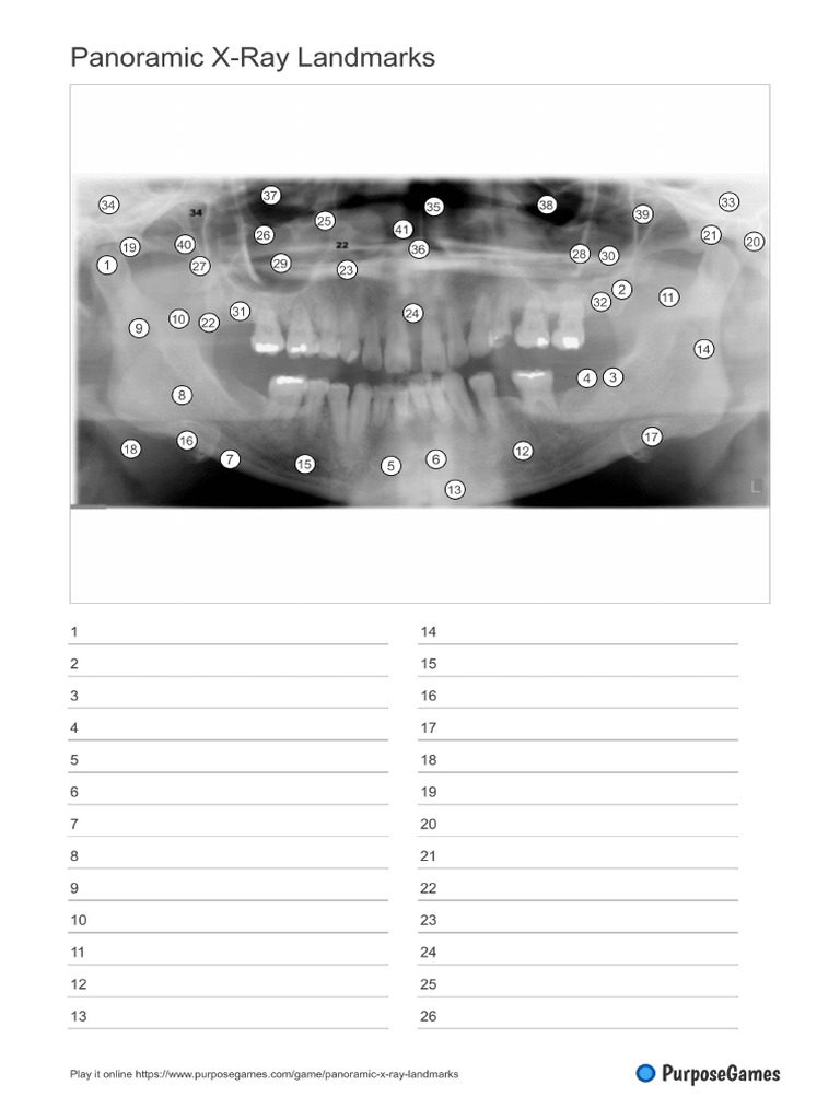 Worksheet OPG Landmarks | PDF