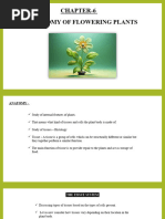 EXERCISE 15 Botany Lab | PDF | Plant Stem | Botany