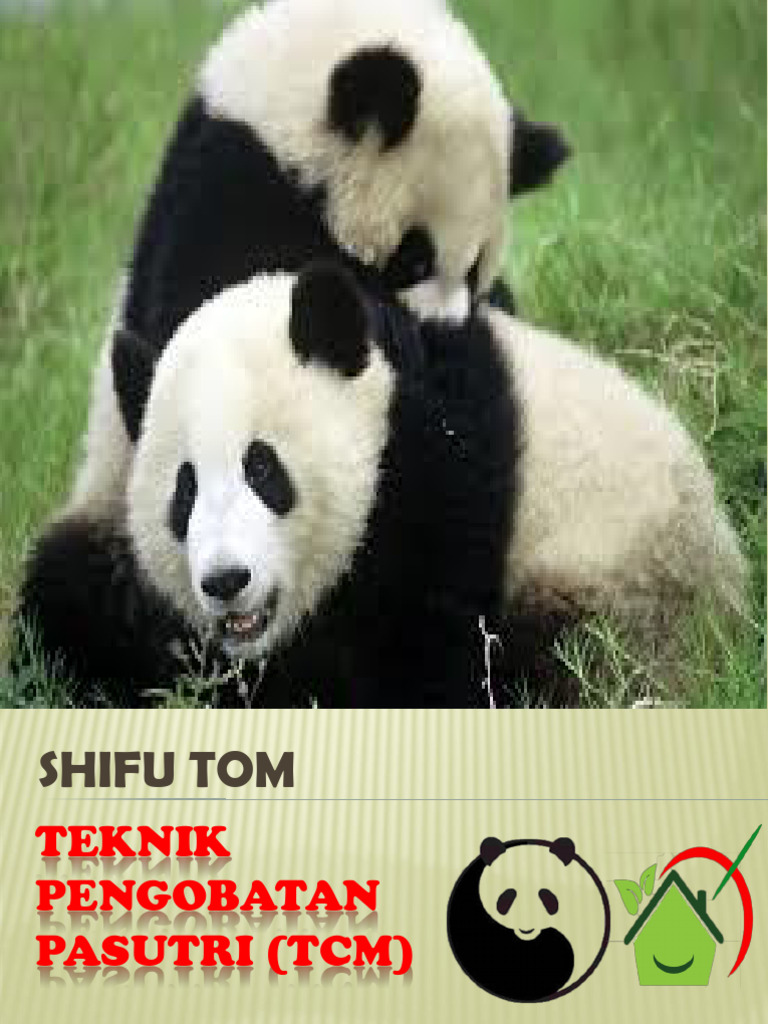 Modul PASUTRI PDF | PDF