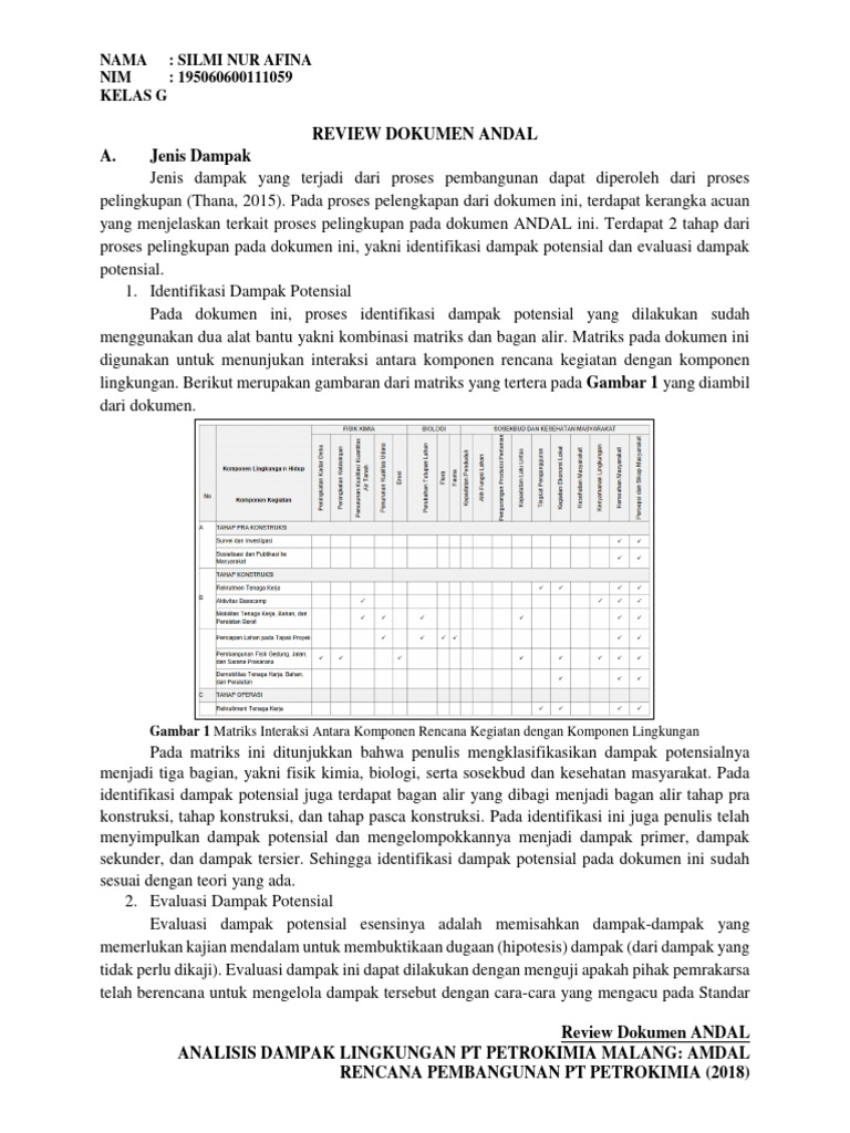 Silmi Nur Afina - Review Amdal | PDF