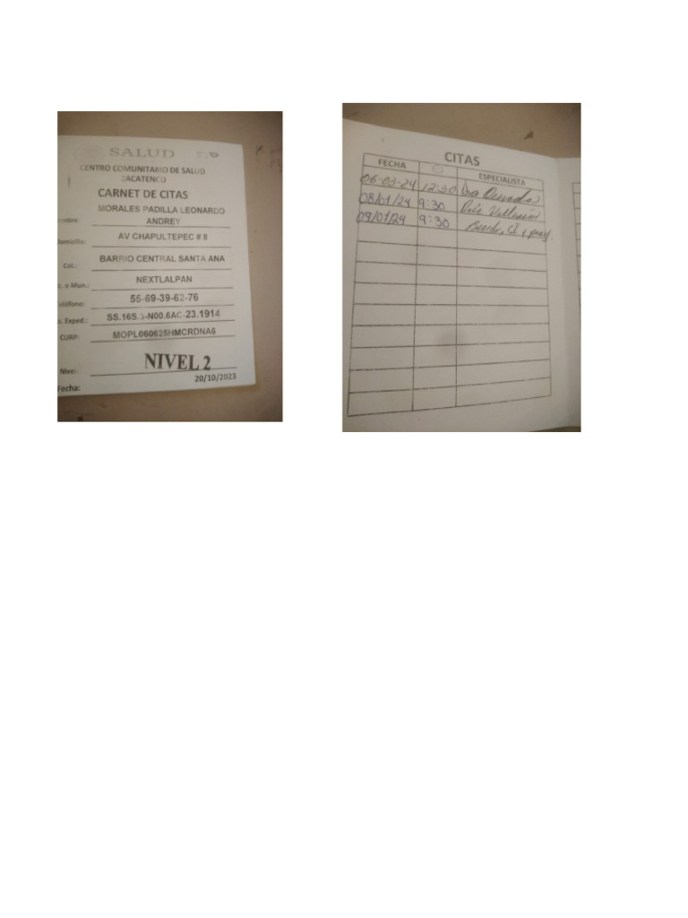 Documento (35) | PDF