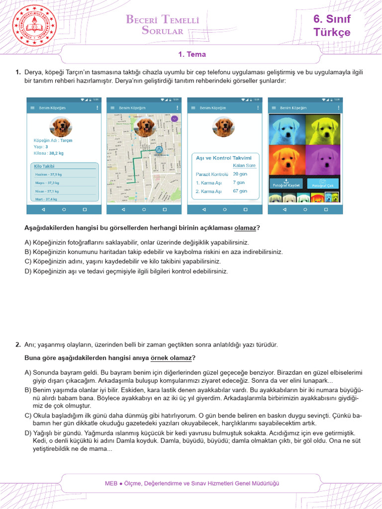 6 Turkce 1 | PDF
