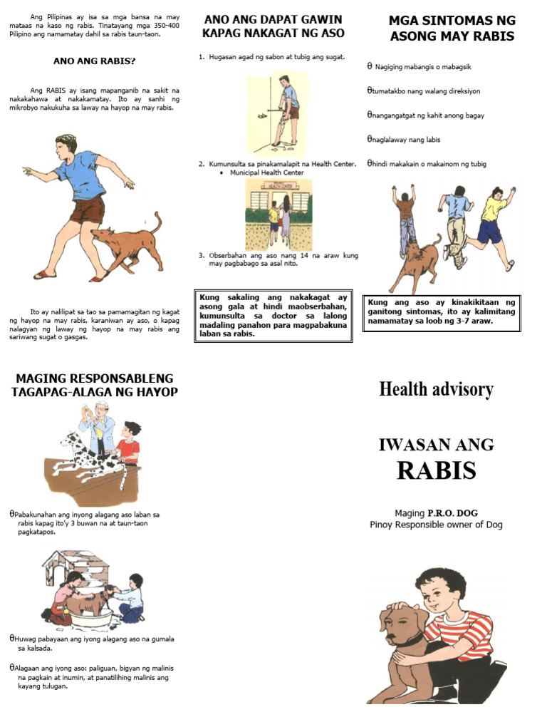 Rabies Flyer Final | PDF