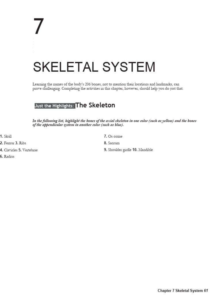 Worksheet On Skeletal System | PDF | Pelvis | Skull