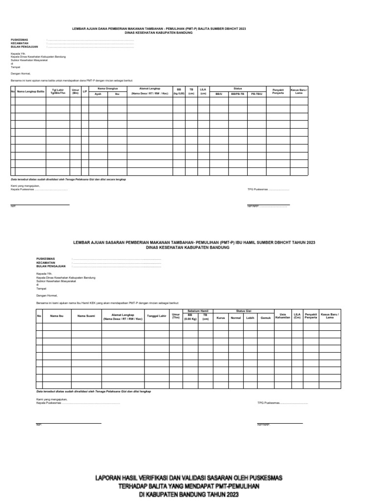Format Laporan PMT-P 2023 DBHCHT | PDF