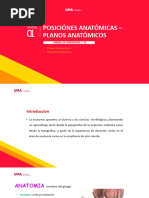 Términos de Lateralidad en Anatomía | PDF | Términos anatómicos de ...