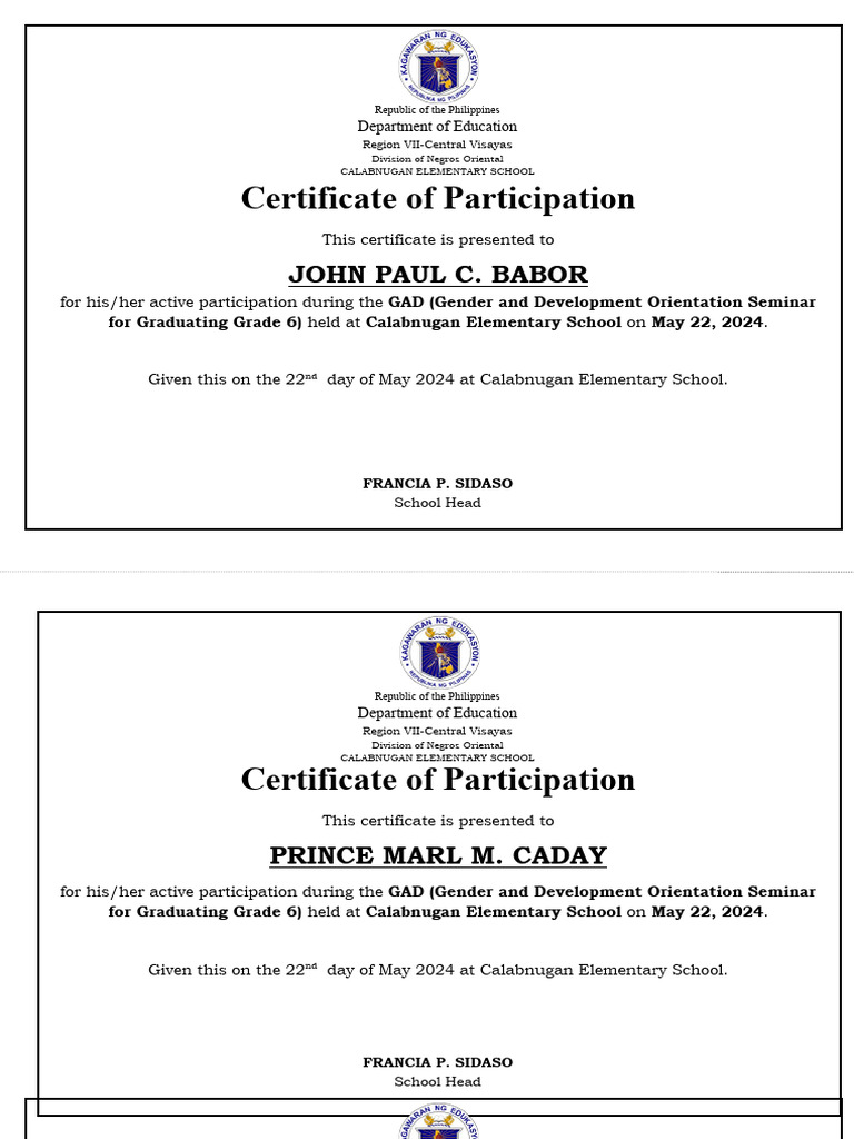 Certificate of Participation - Template | PDF | Public Administration ...