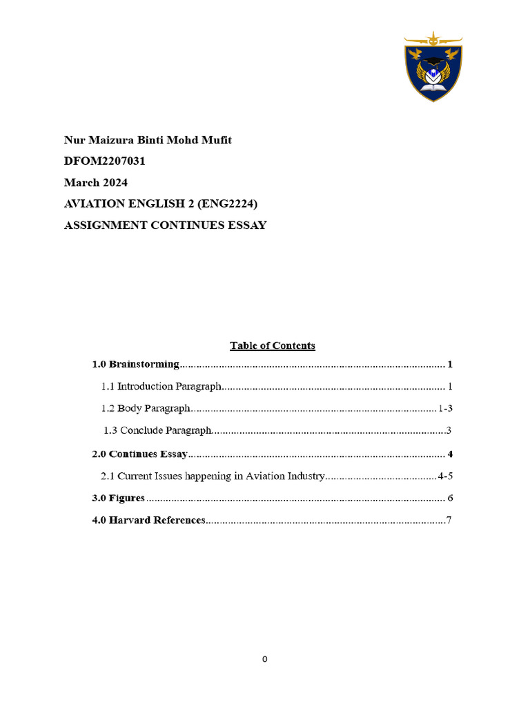 English Essay Assignment | PDF | Airlines | Aviation