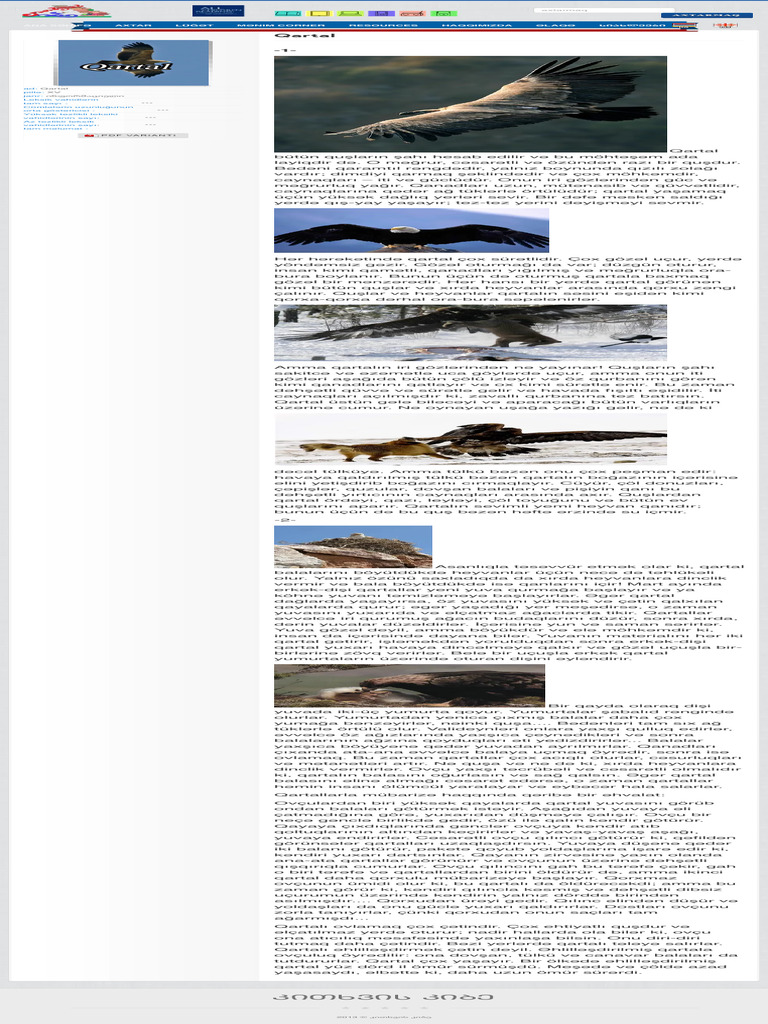 Qartal: Ana Səhifə Axtar Lüğət Mənim Corner Resources Haqqimizda Əlaqə ...