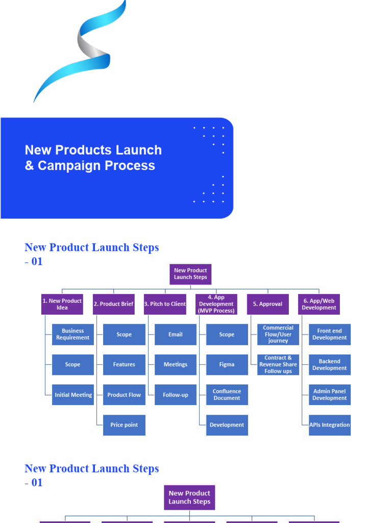 New Product Launch Steps | PDF | Software | Internet