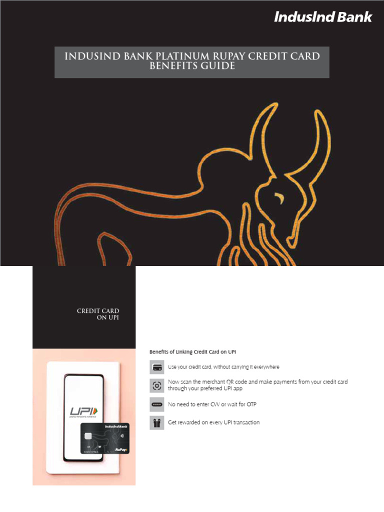 Platinum RuPay Benefit Guide Revised | PDF | Credit Card | Banking ...