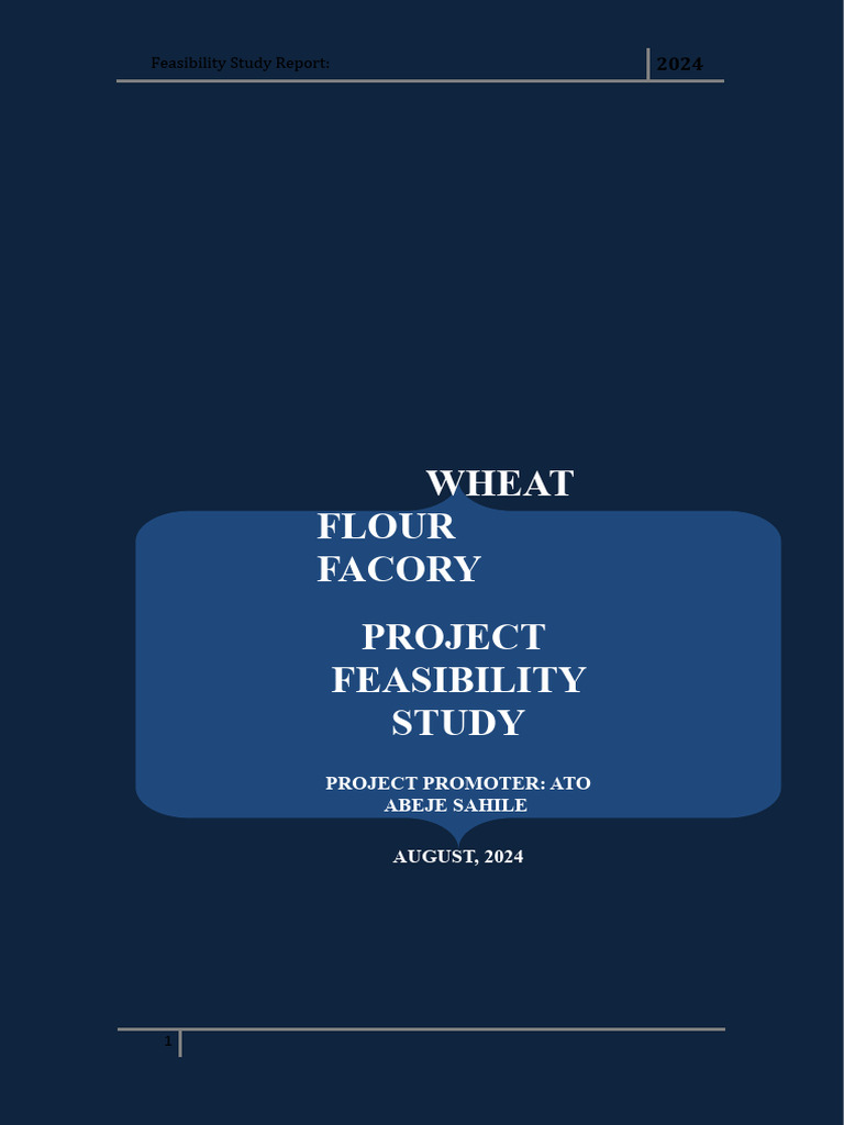 FLOUR Factory Feasibility Study | PDF | Internal Rate Of Return ...