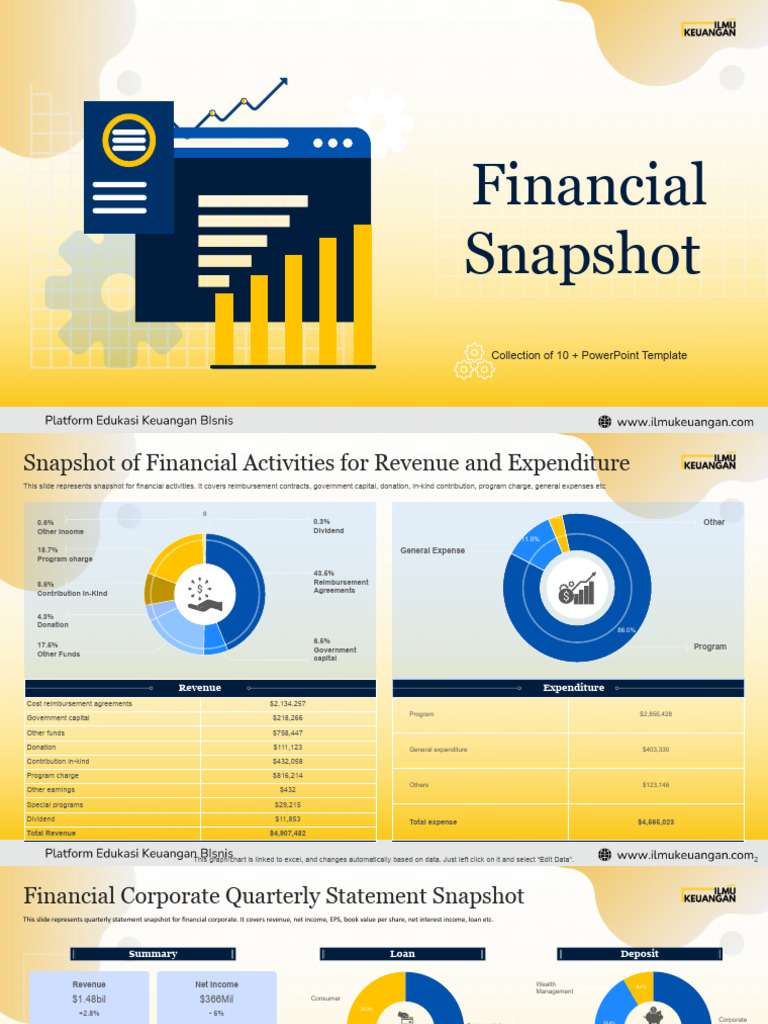 Financial Snapshot Template | PDF | Expense | Revenue