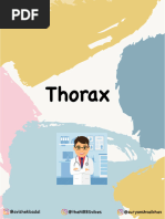 Thorax Anatomy Diagrams Overview | PDF