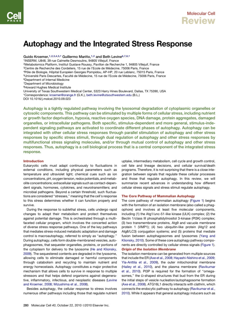 Autophagy and The Integrated Stress Response | PDF | Autophagy | Nf κb