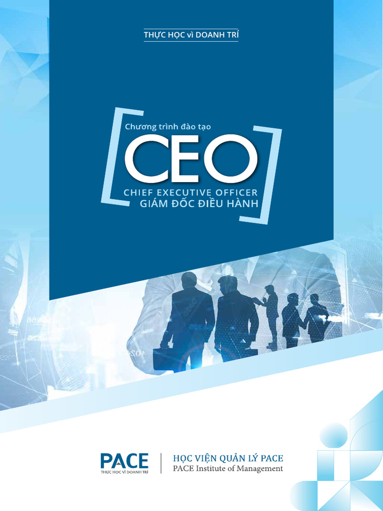 CEO | PDF