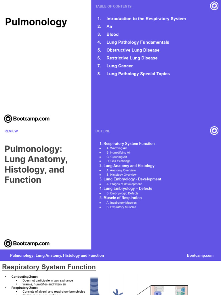 Pulmonology | PDF | Respiratory Tract | Lung