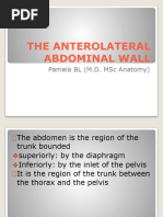 Vertebral Levels and Landmarks | PDF