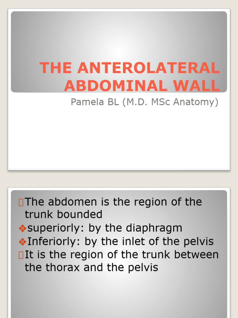 The Anterolateral Abdominal Wall | PDF | Abdomen | Pelvis