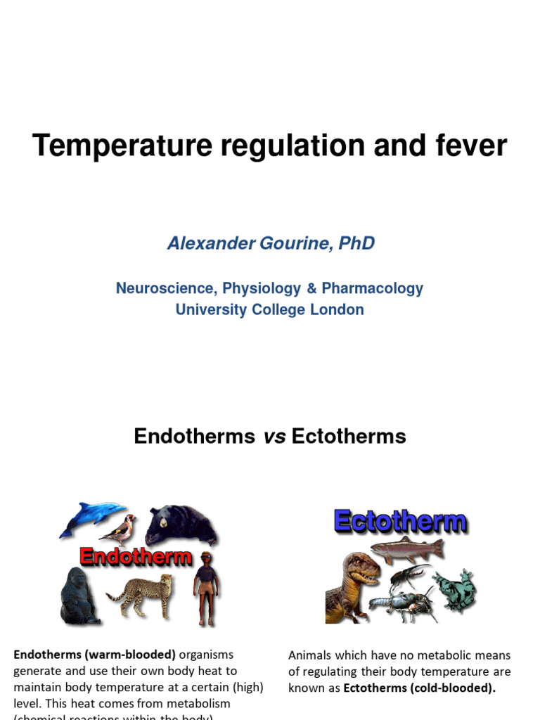 Thermoregulation | PDF | Heat Transfer | Thermoregulation Thermoregulation | PDF | Heat Transfer | Thermoregulation